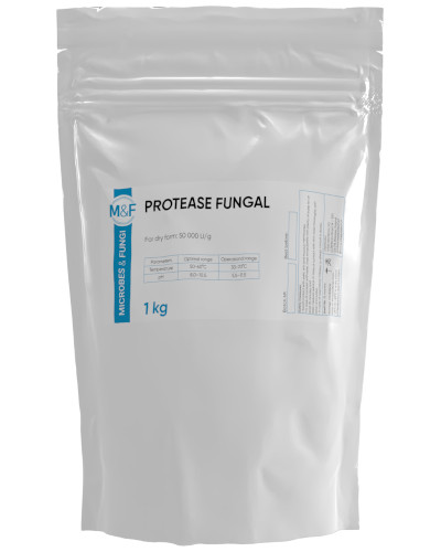 Protease fungal